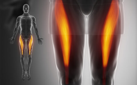 Muskelfaserriss | Zerrung | Muskelzerrung